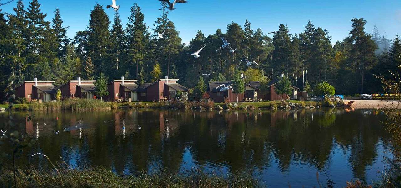 Center Parcs put up for sale with £5 billion price tag – Business Crack