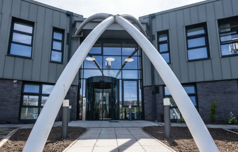 BAE Systems open new Leadership Academy in Barrow – Business Crack